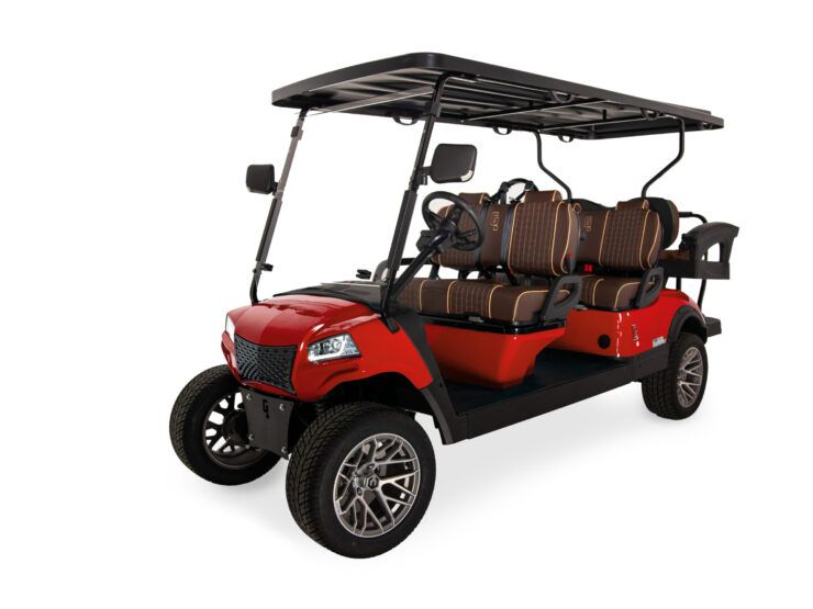 Honor LSV - North Florida Custom Carts